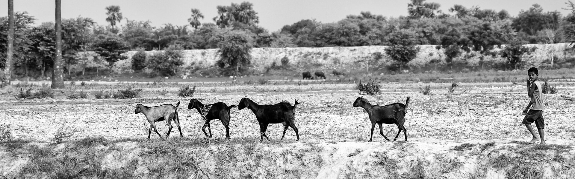 NGO in India to Support Child Rights & Underprivileged Children - CRY